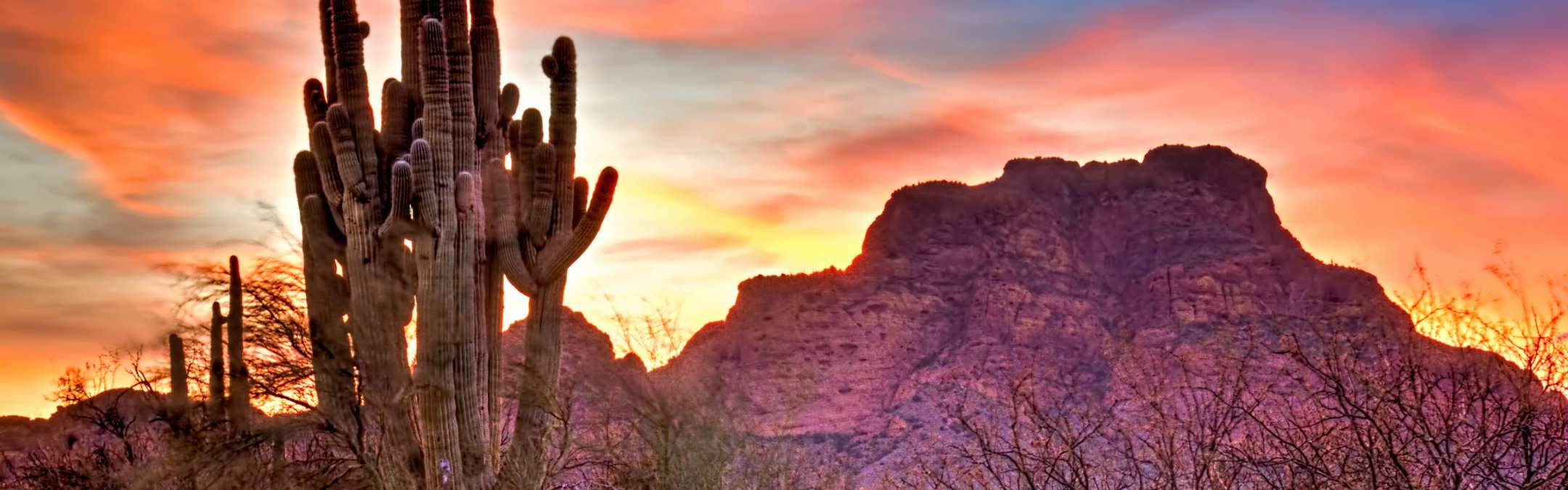 Check Our Resources - Desert Health and Life Insurance